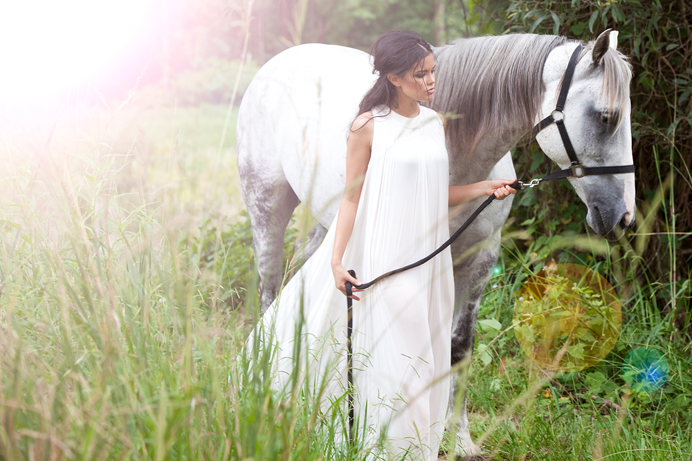 White Horse - Focal Point VR
